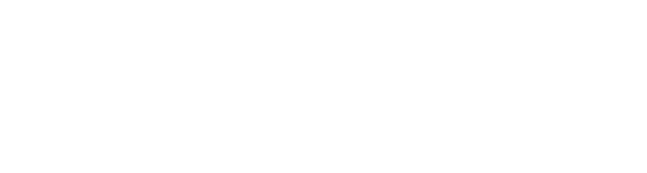 Lisa Fitzpatrick CLNC | NACLNC Certified Consultant